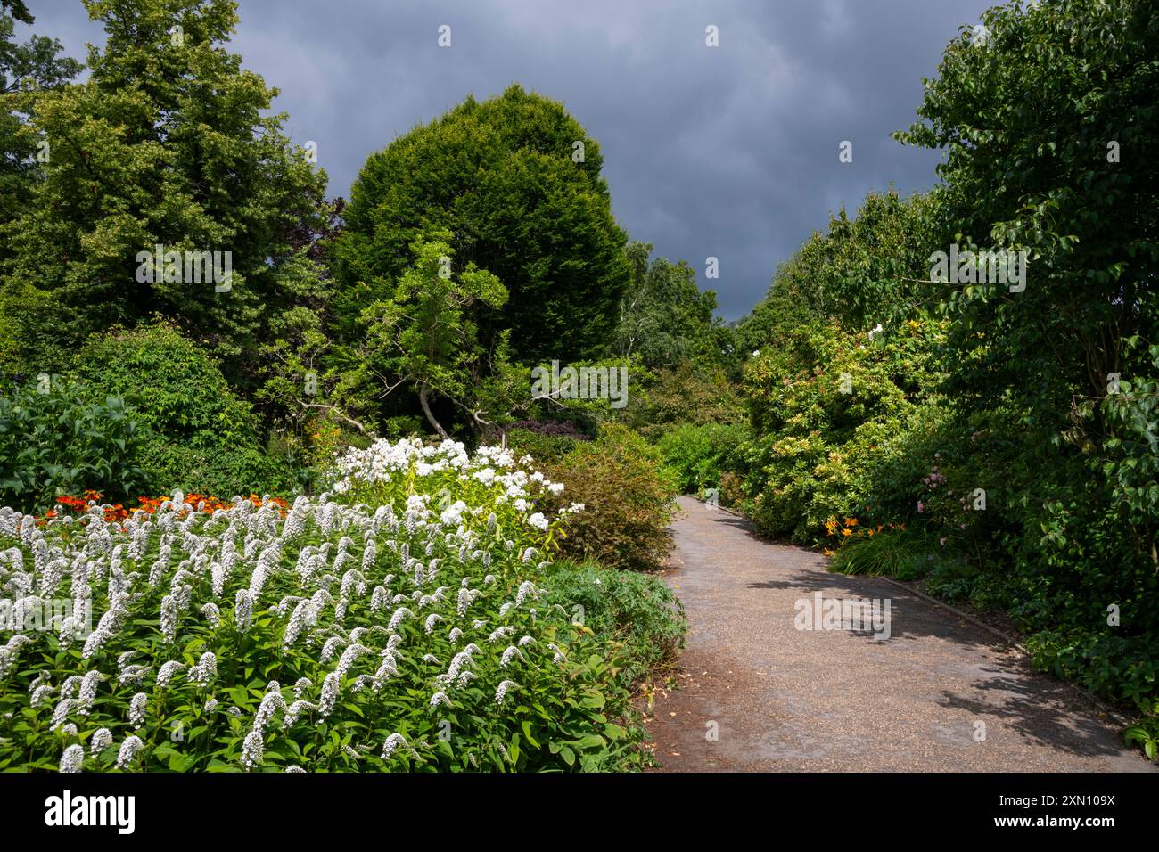 Sheffield botanical gardens in summer. South Yorkshire, England Stock ...