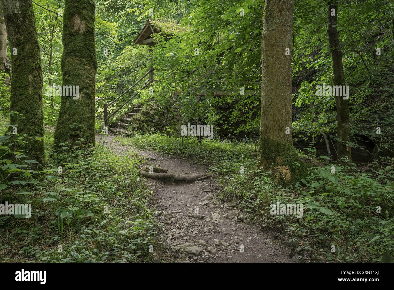 passage route over a little german river Stock Photo - Alamy