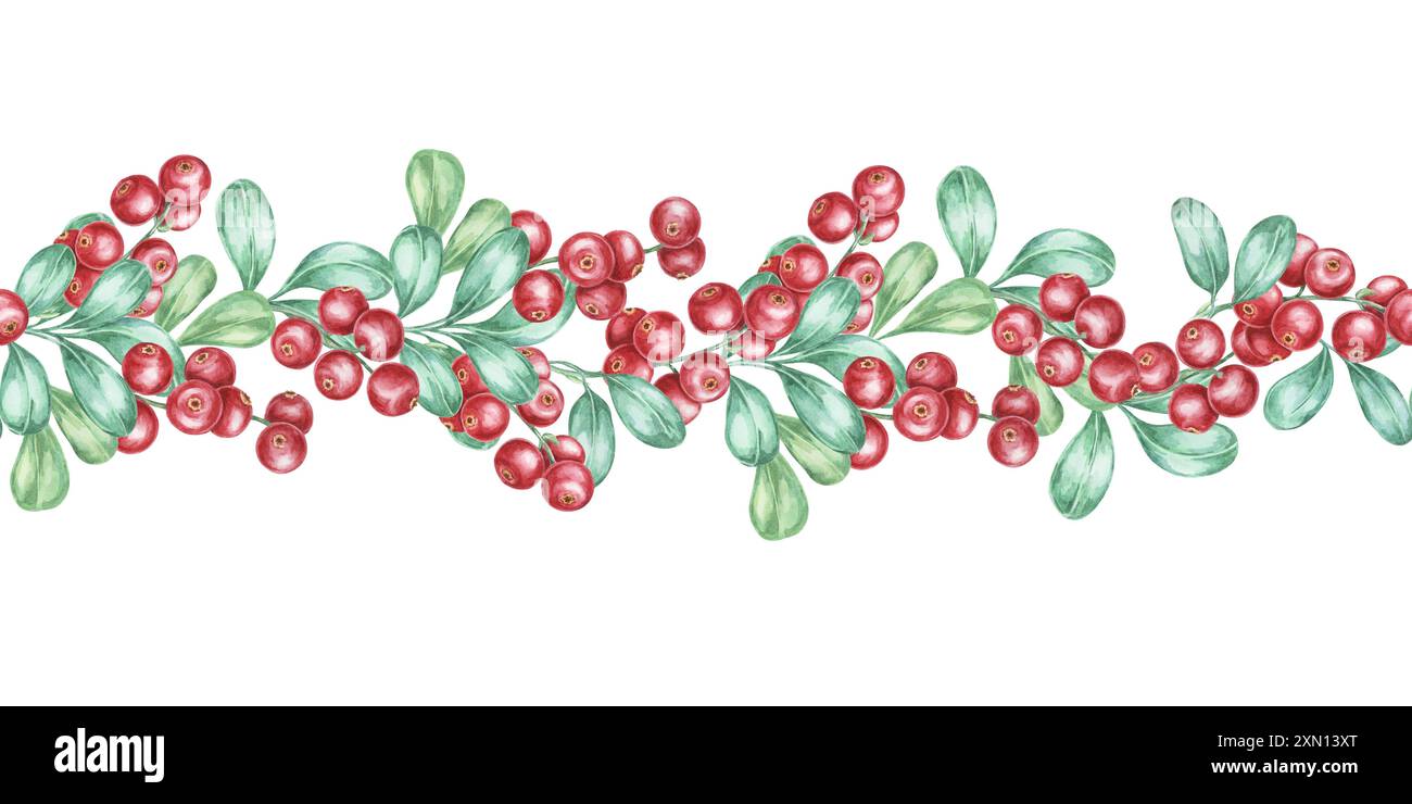 Cranberry seamless border watercolor clipart featuring intertwined ...