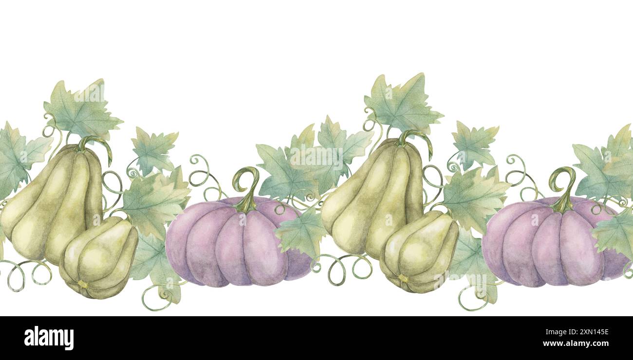 Squash seamless border clipart presents a mix of green, and purple ...