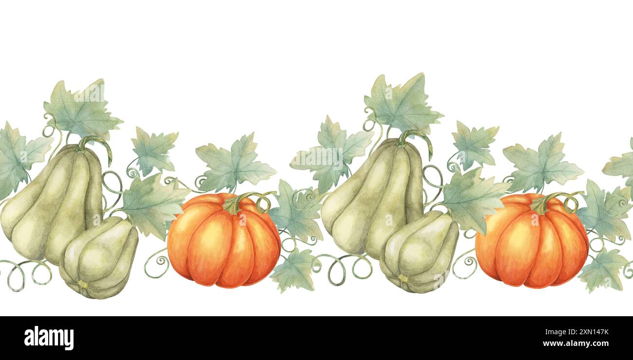Squash seamless border clipart presents a mix of green, and orange ...