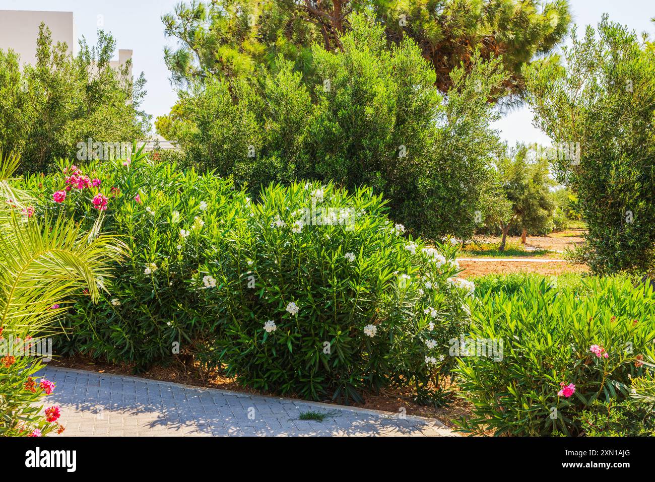 Lush green bushes and trees in a well-maintained garden with colorful ...