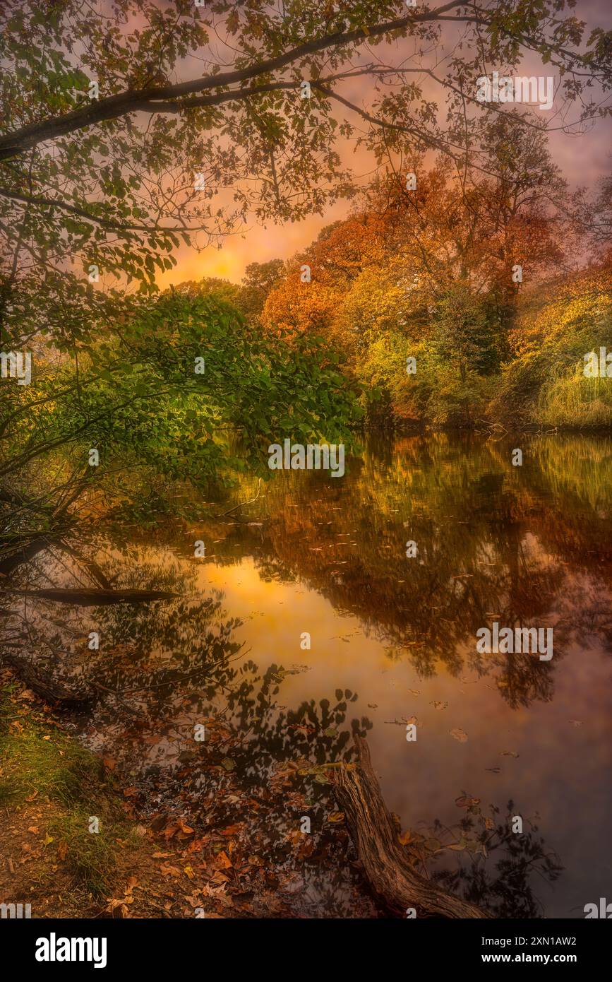 Fall foliage by Clove Lake Clove Lakes Park Staten Island, NY Stock ...