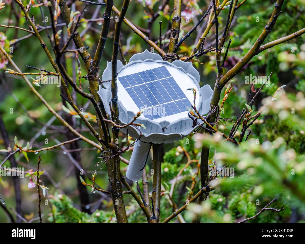 Prayer tradition hi-res stock photography and images - Alamy