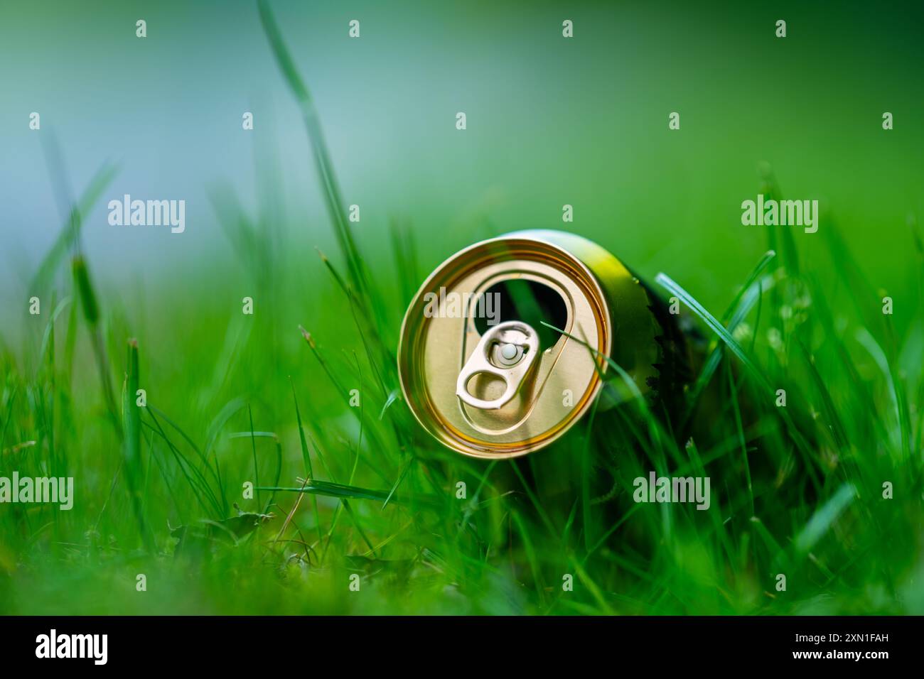 Golden beer can thrown away in green grass Stock Photo - Alamy
