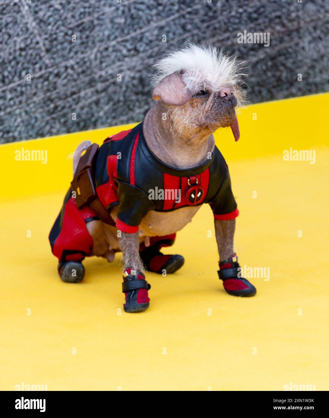 Peggy as Dogpool attending the DEADPOOL & WOLVERINE - UK Sneak Peek ...