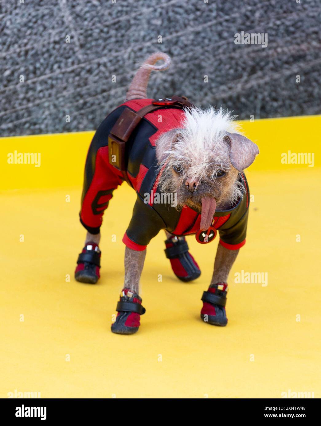 Peggy as Dogpool attending the DEADPOOL & WOLVERINE - UK Sneak Peek ...