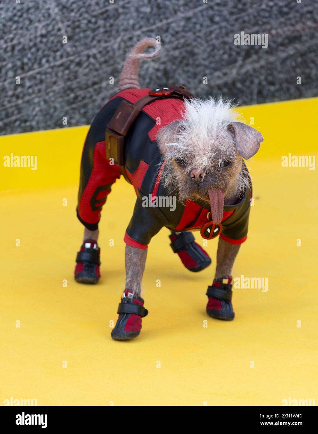 Peggy as Dogpool attending the DEADPOOL & WOLVERINE - UK Sneak Peek ...
