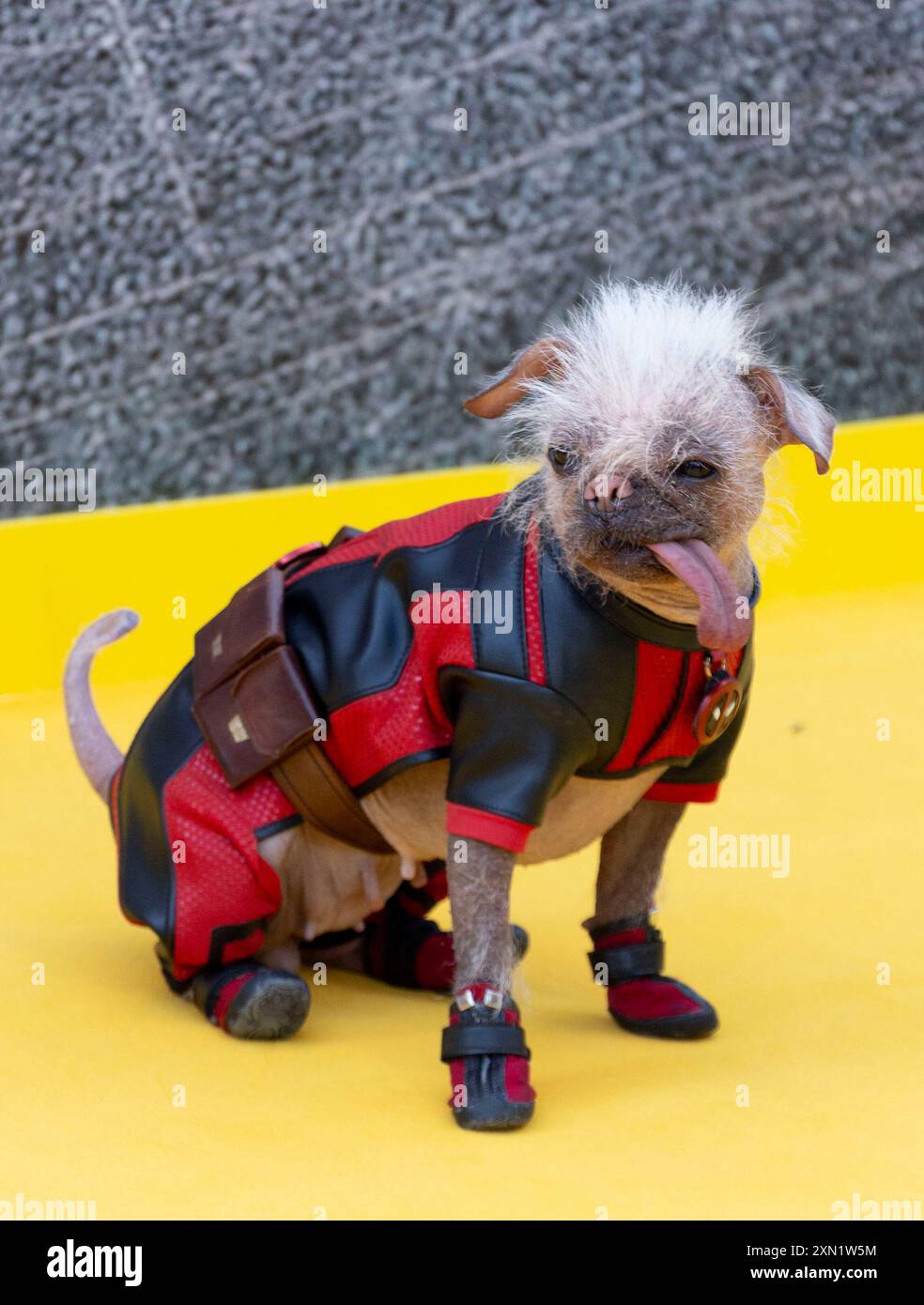 Peggy as Dogpool attending the DEADPOOL & WOLVERINE - UK Sneak Peek ...