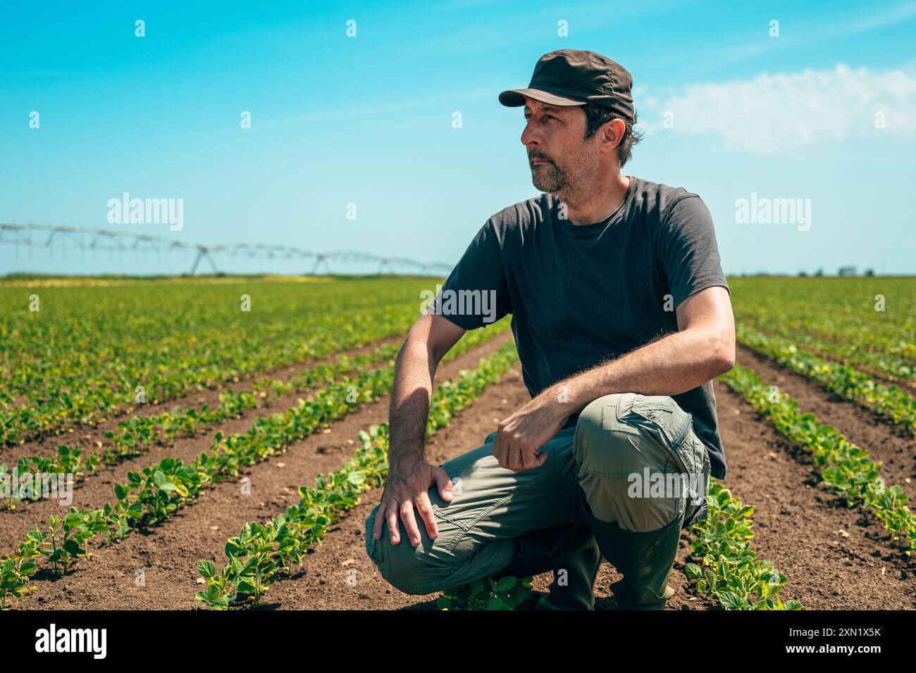 Portrait of confident male farmer squatting in cultivated soybean field ...