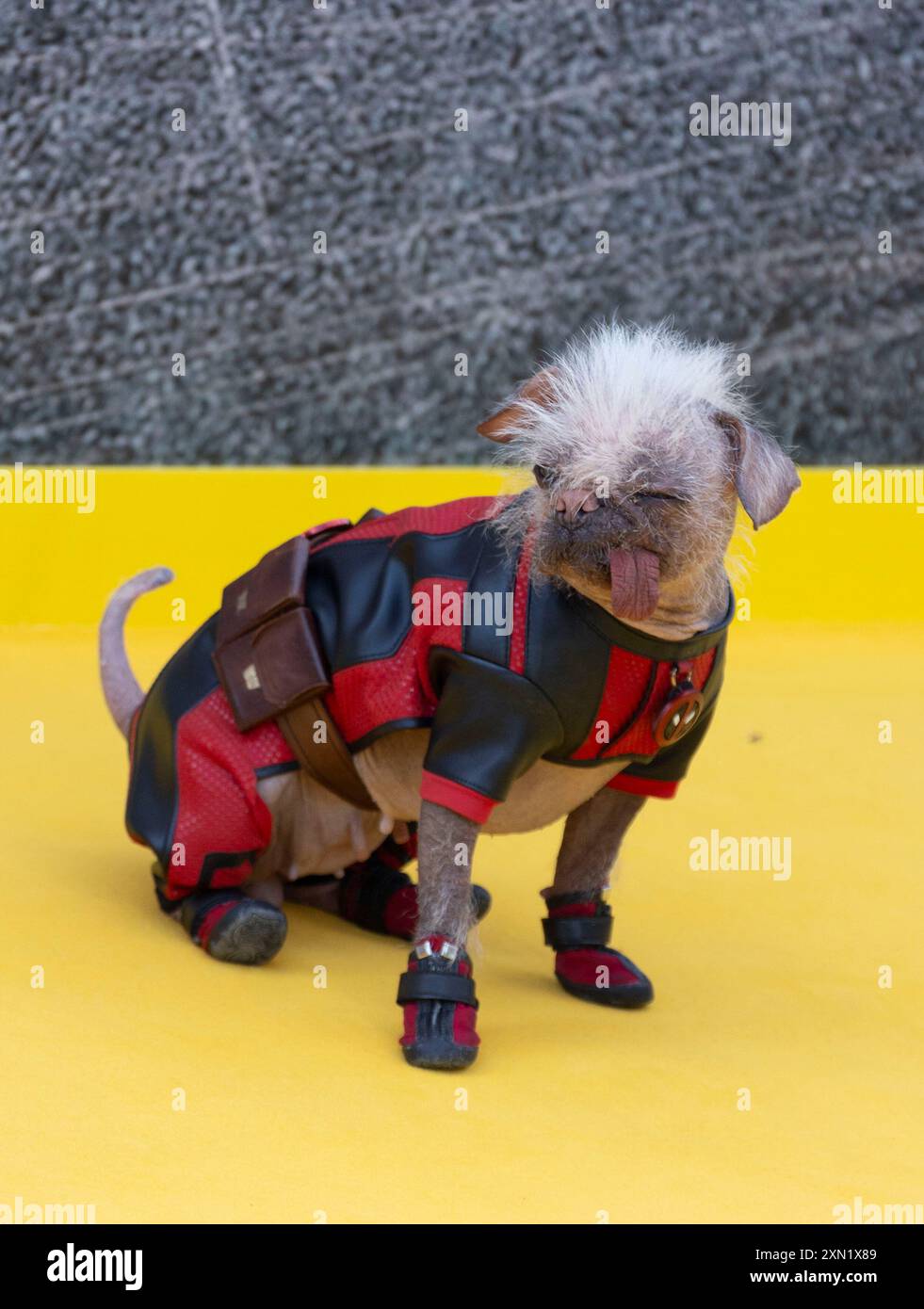 Peggy as Dogpool attending the DEADPOOL & WOLVERINE - UK Sneak Peek ...