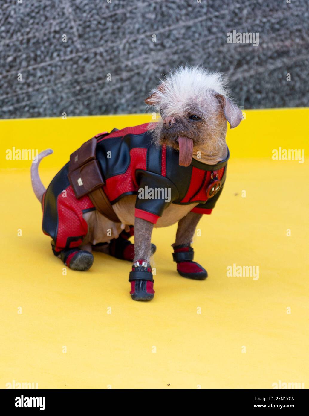 Peggy as Dogpool attending the DEADPOOL & WOLVERINE - UK Sneak Peek ...