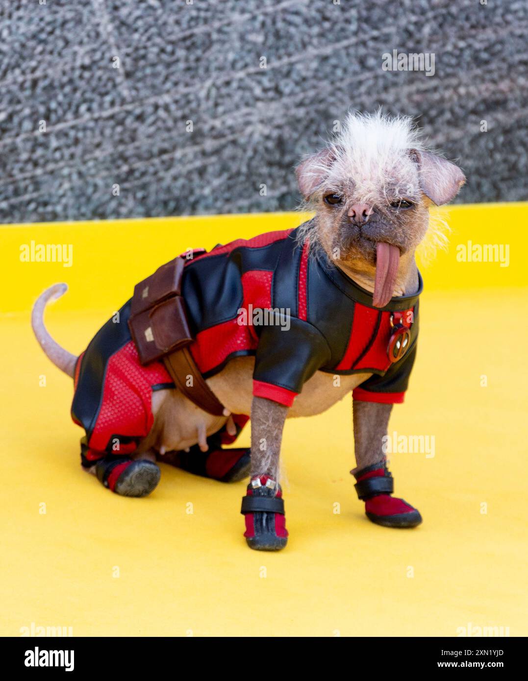 Peggy as Dogpool attending the DEADPOOL & WOLVERINE - UK Sneak Peek ...