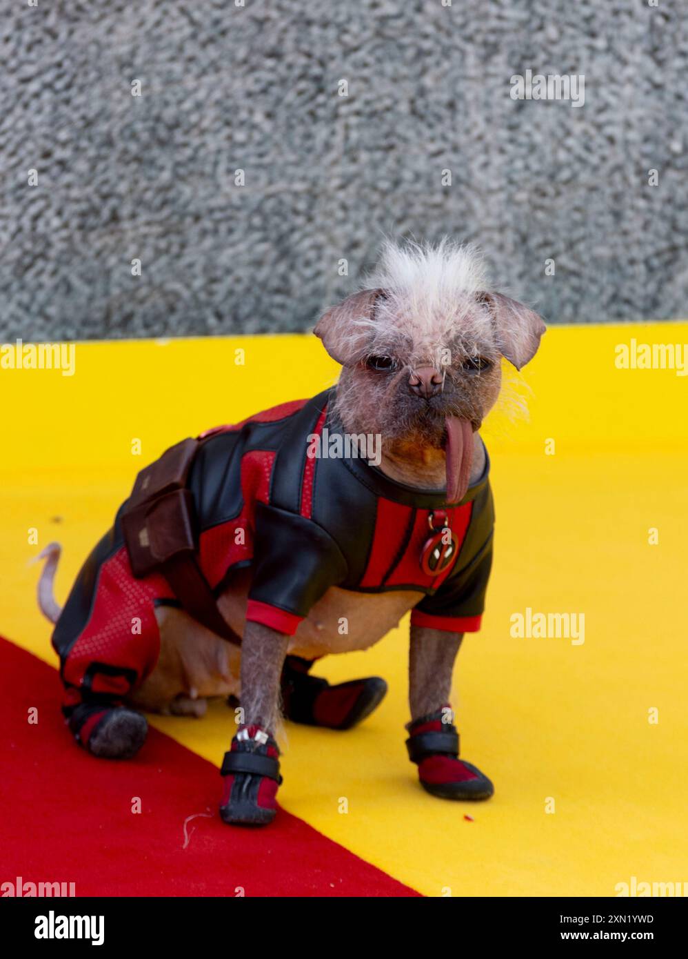 Peggy as Dogpool attending the DEADPOOL & WOLVERINE - UK Sneak Peek ...