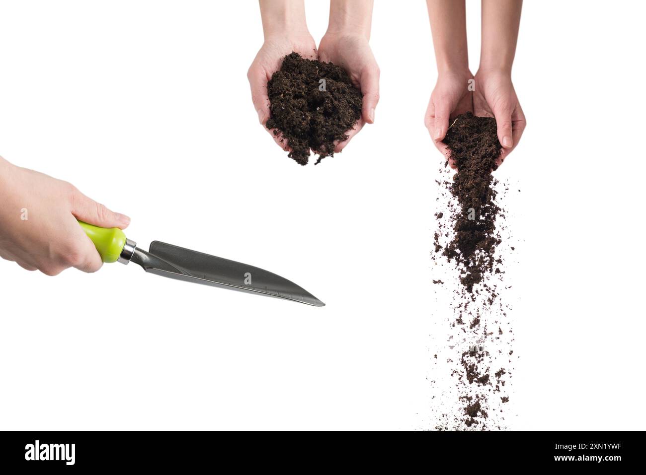 Brown soil in woman hands isolated on white background. The soil falls ...