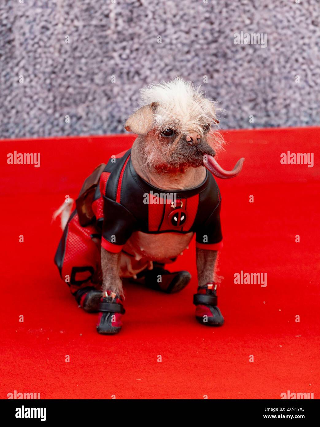 Peggy as Dogpool attending the DEADPOOL & WOLVERINE - UK Sneak Peek ...
