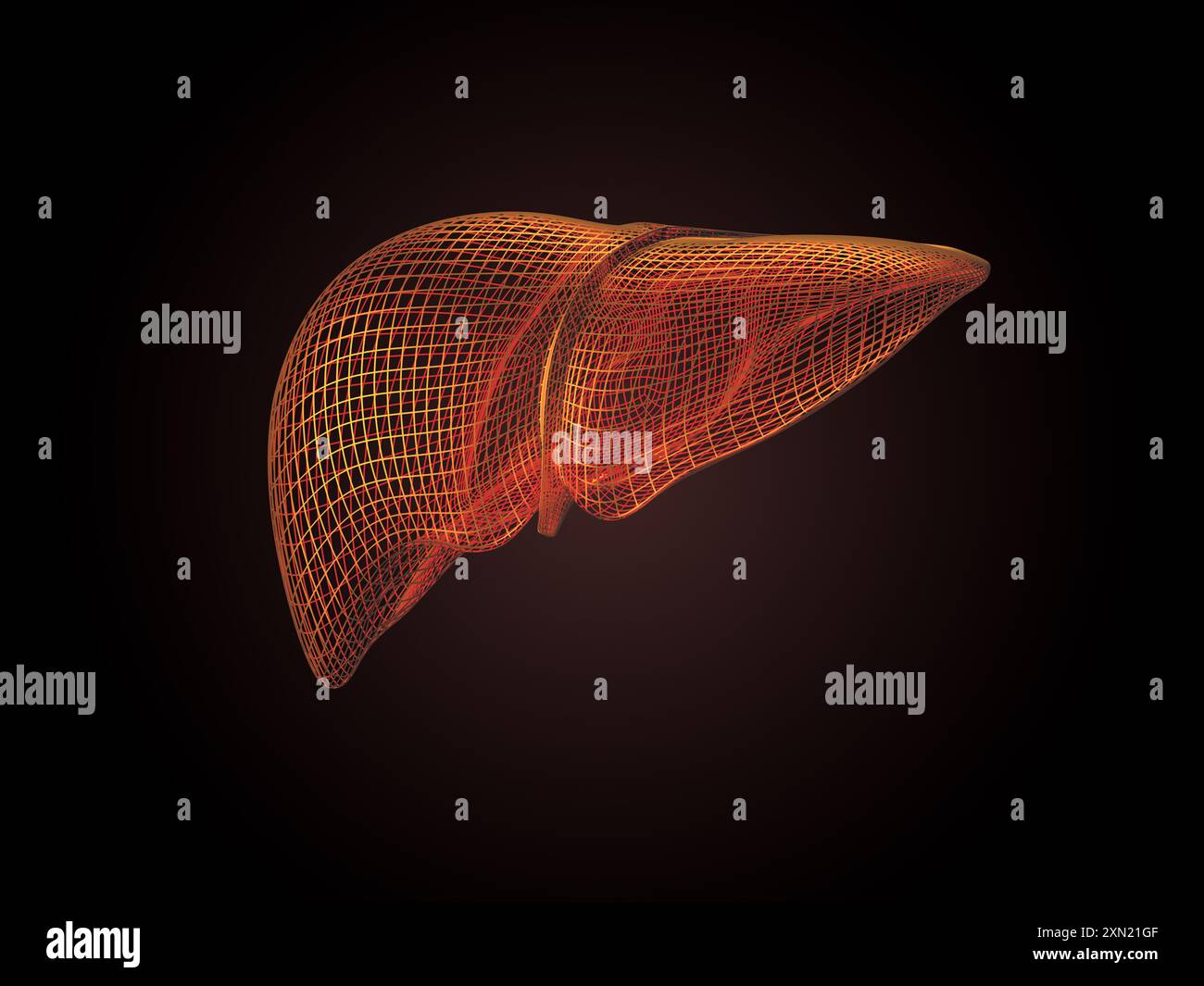 3d Wireframe liver in orange over dark background. This evokes themes ...