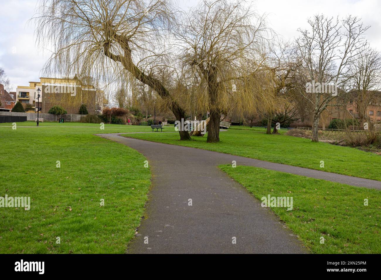 Gostrey Meadow, Farnham, Surrey, England Stock Photo - Alamy