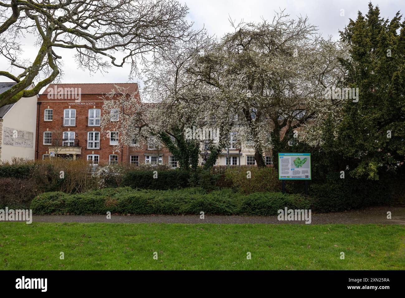 Farnham park, surrey hi-res stock photography and images - Alamy