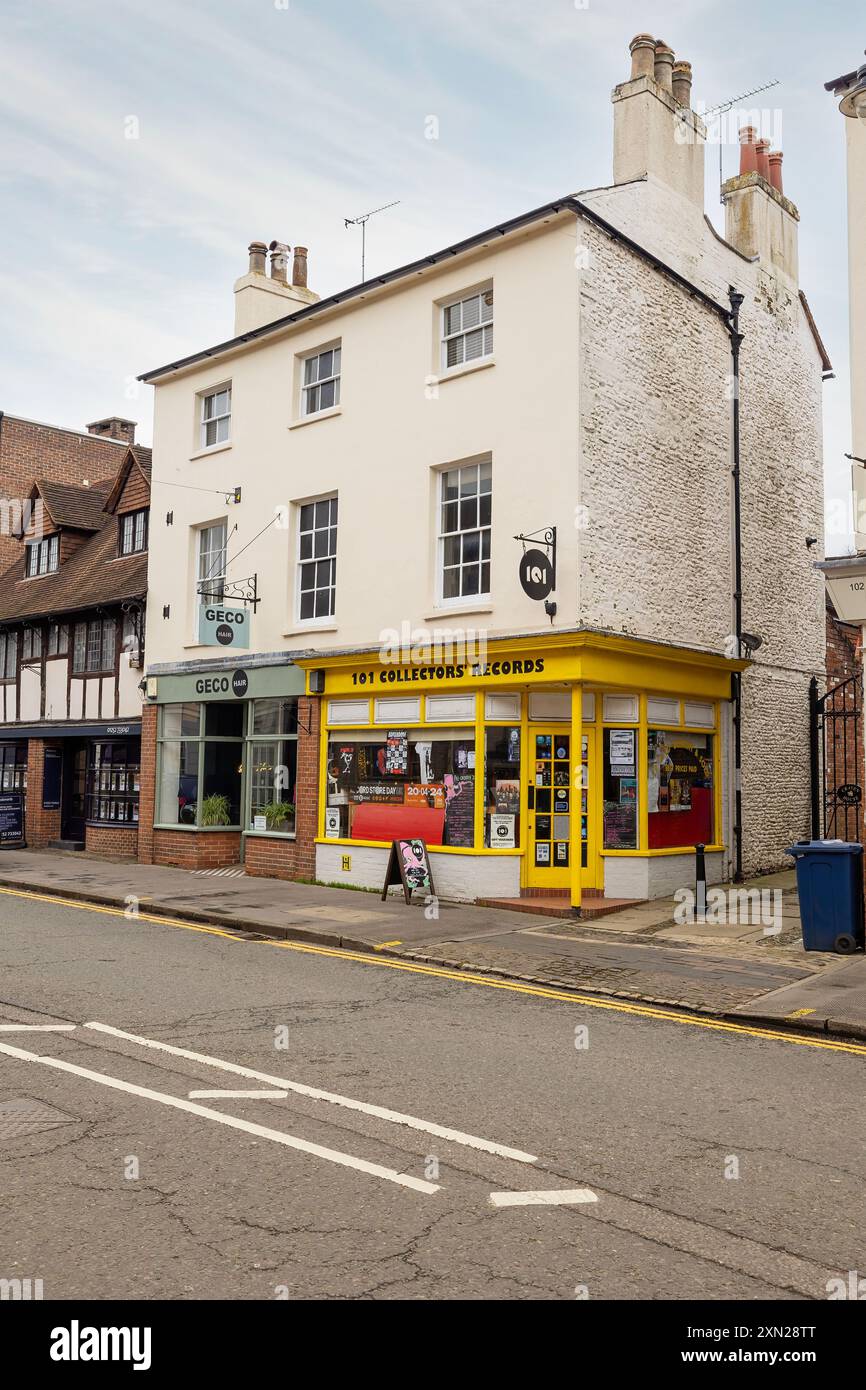 Geco hair hi-res stock photography and images - Alamy