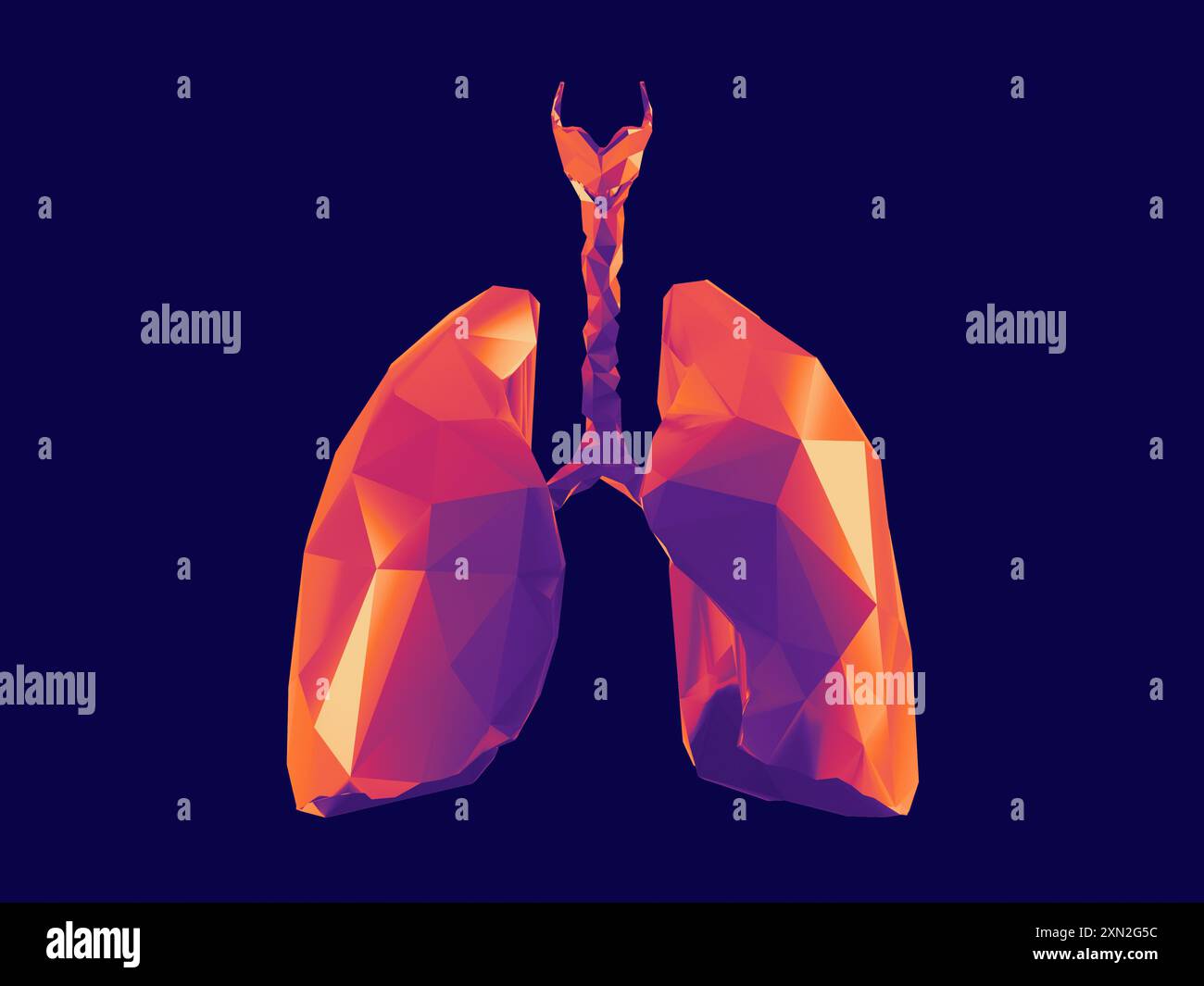 3d stylized representation of human lungs, essential organs for ...