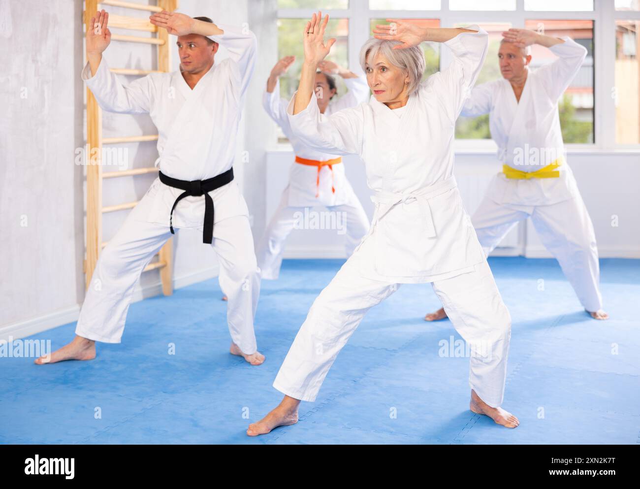 Senior students perform basic movements and repeat to hold pose ...