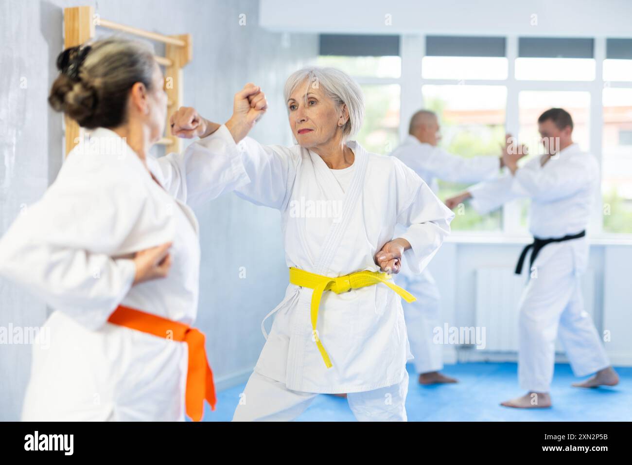 Senior karate practitioner engage in fierce fight oriental single ...