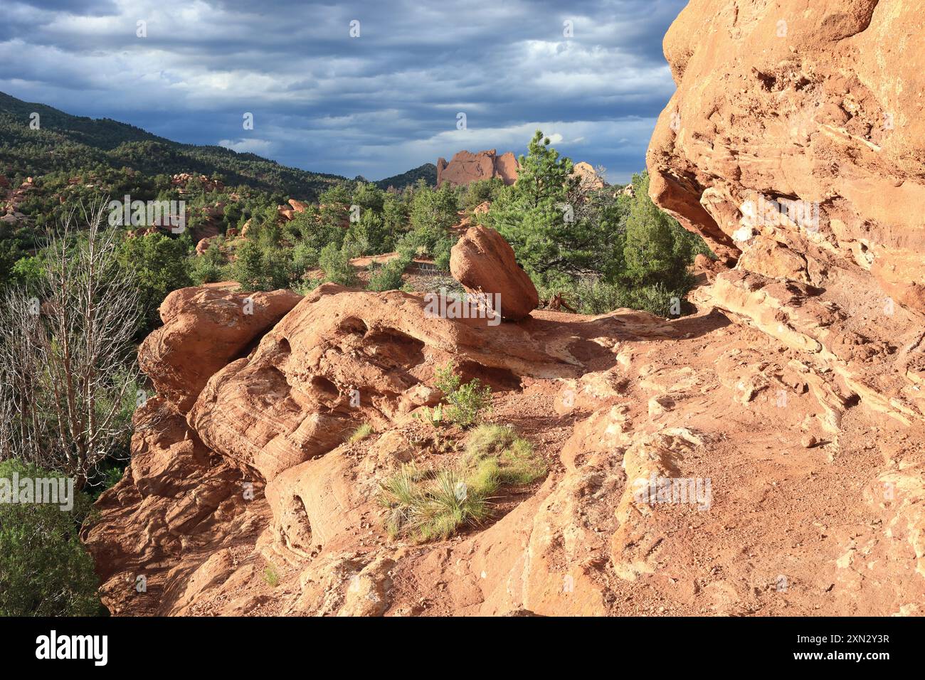 Garden of the rocks in Colorado Stock Photo - Alamy
