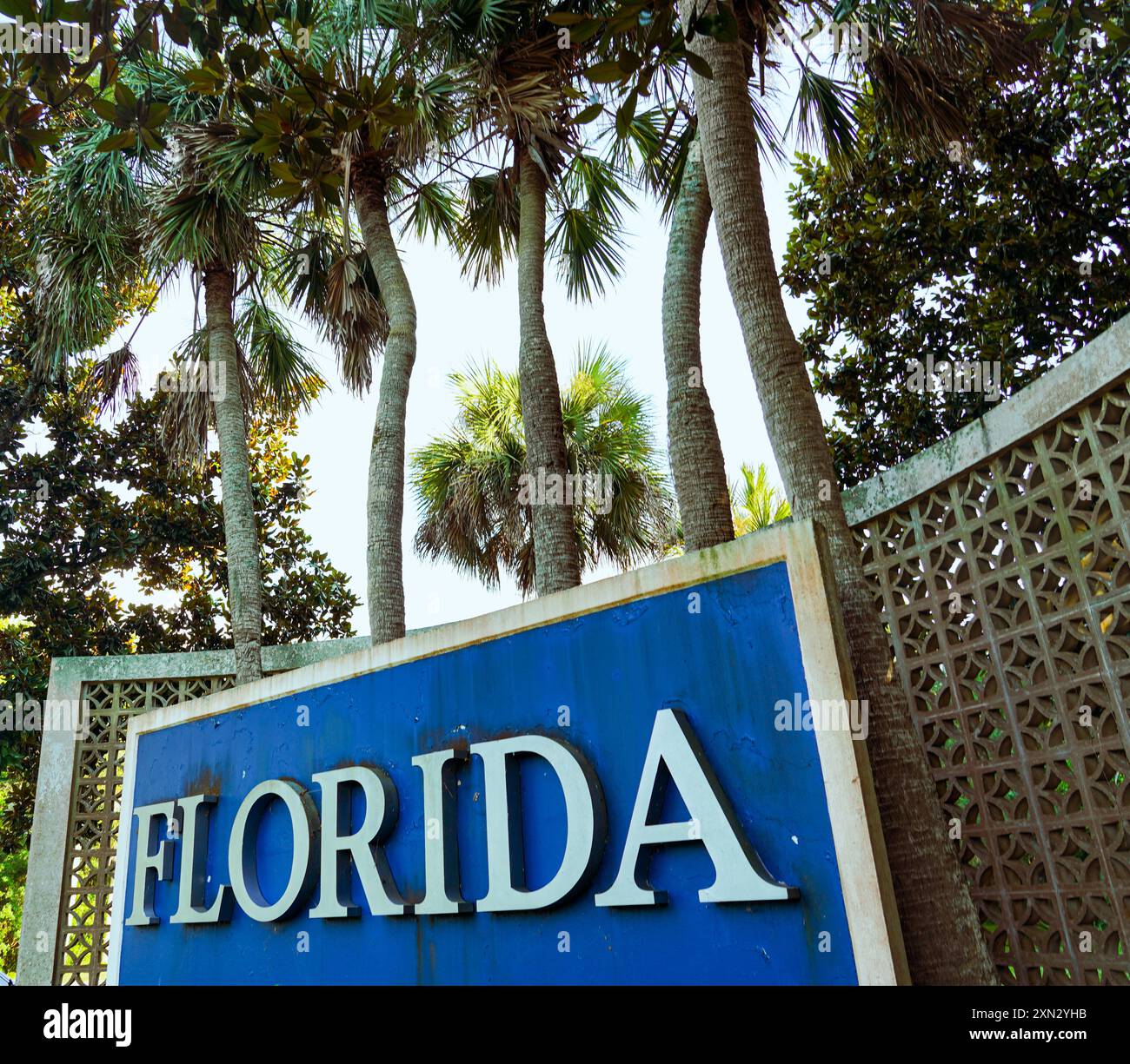 A striking blue 'Florida' sign nestled among tall palm trees and ...