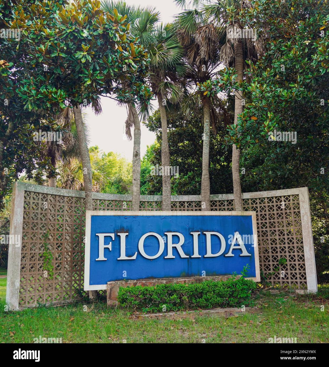 A striking blue 'Florida' sign nestled among tall palm trees and ...