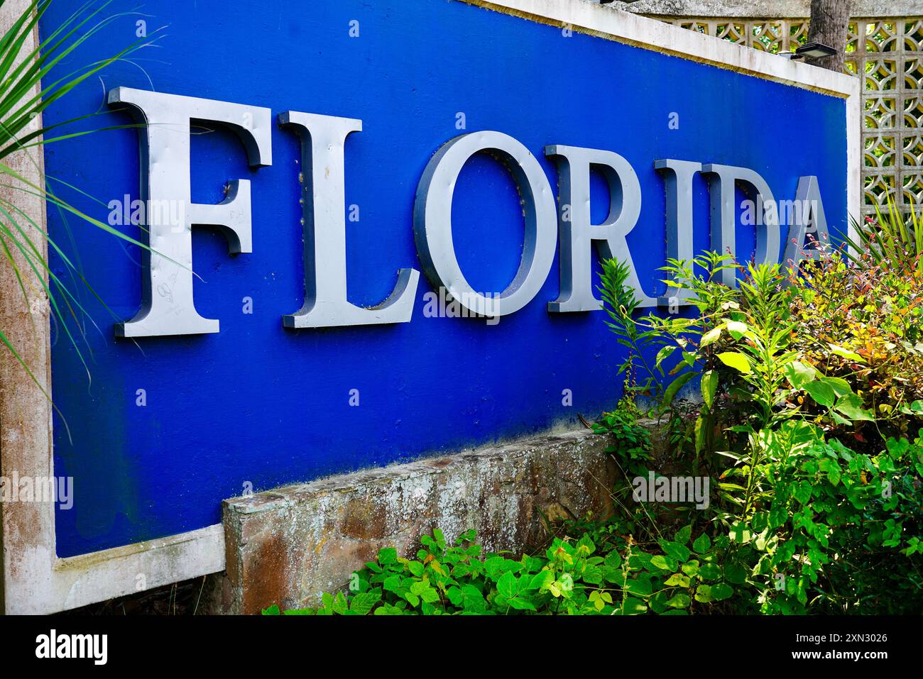 A striking blue 'Florida' sign nestled among tall palm trees and ...