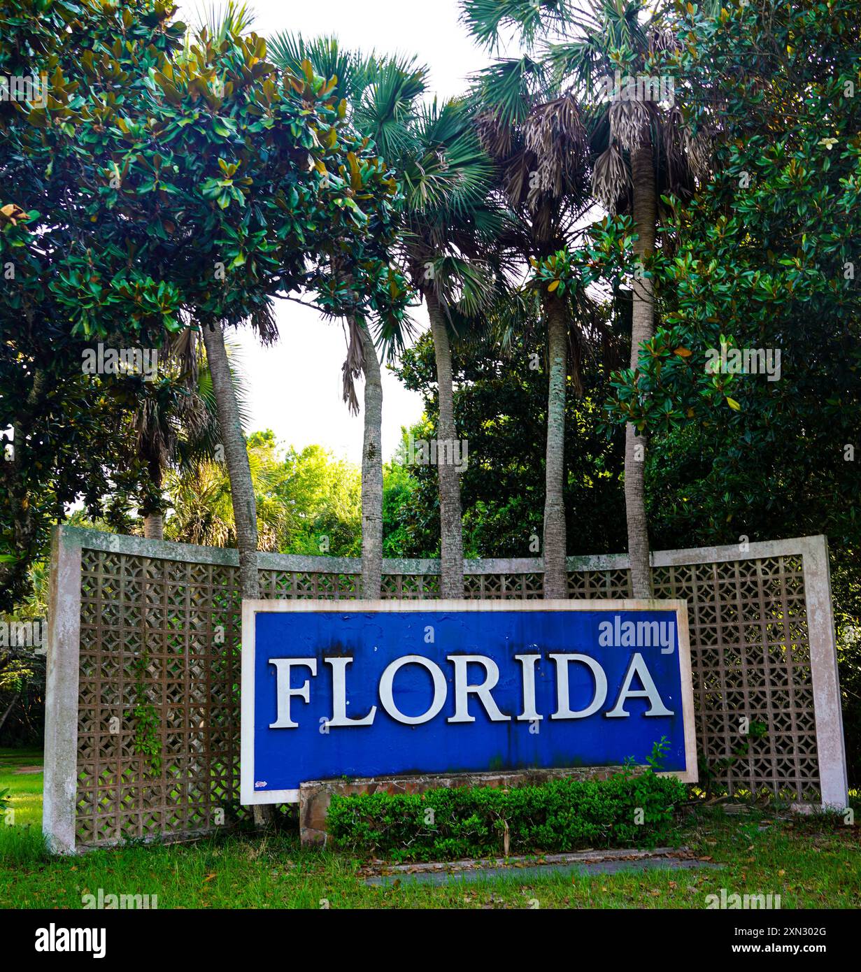 A striking blue 'Florida' sign nestled among tall palm trees and ...