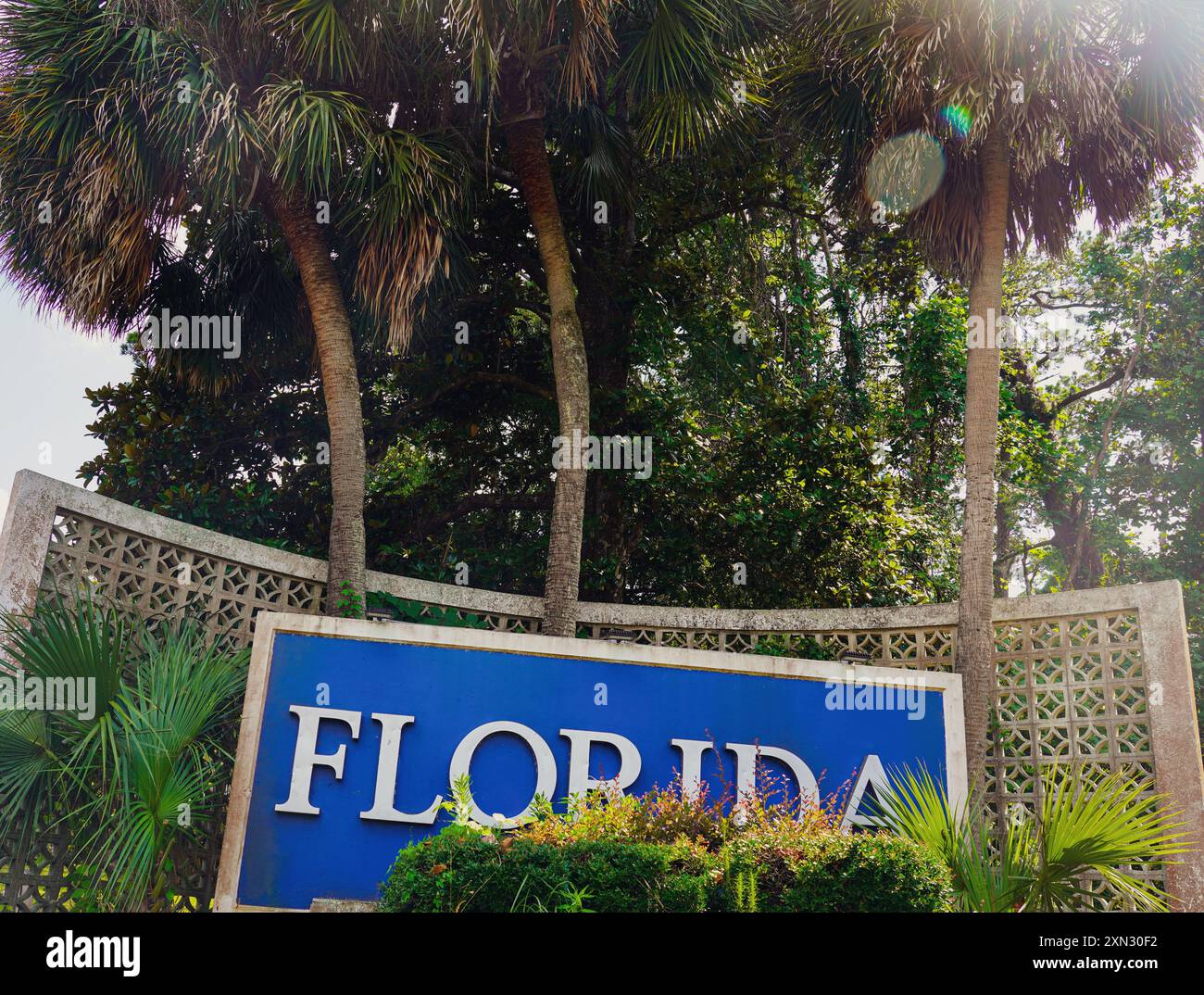 A striking blue 'Florida' sign nestled among tall palm trees and ...