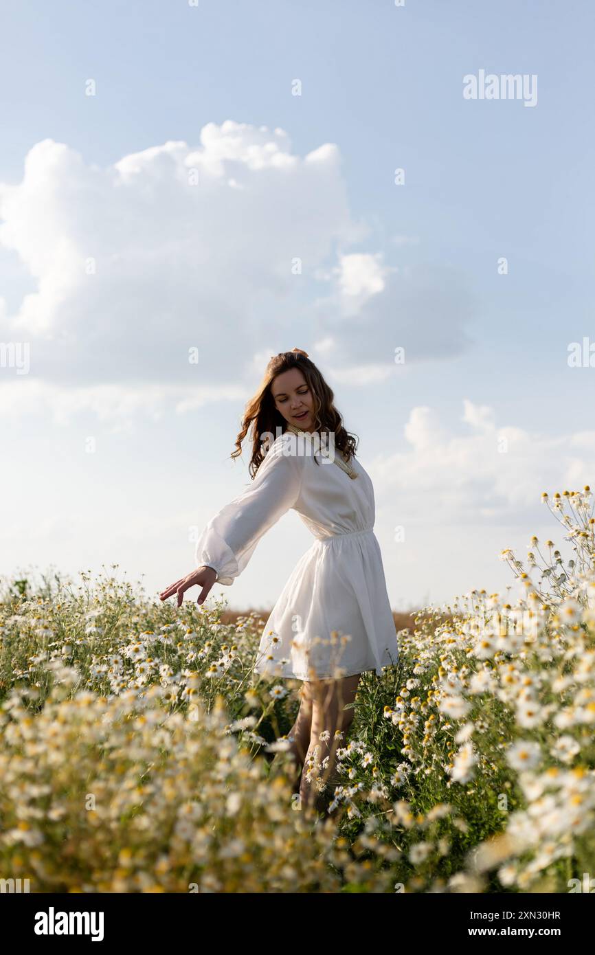 Walking chamomile hi-res stock photography and images - Alamy