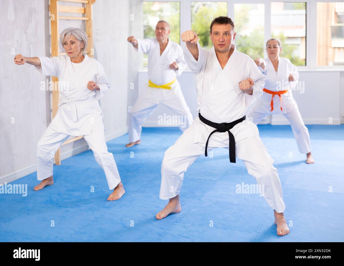 Senior students perform basic movements and repeat to hold pose ...