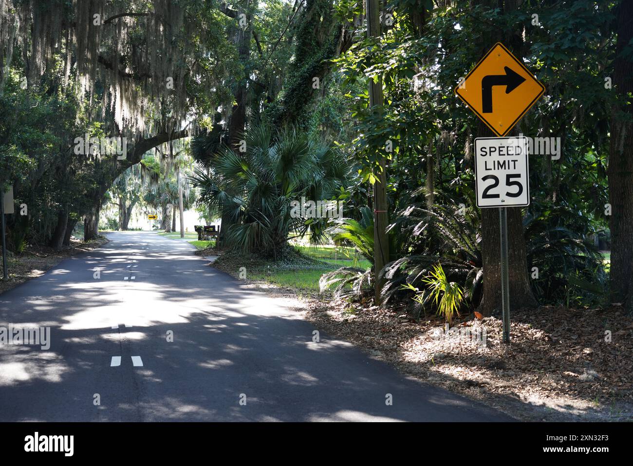 A scenic road with a speed limit sign and overhanging trees, inviting a ...