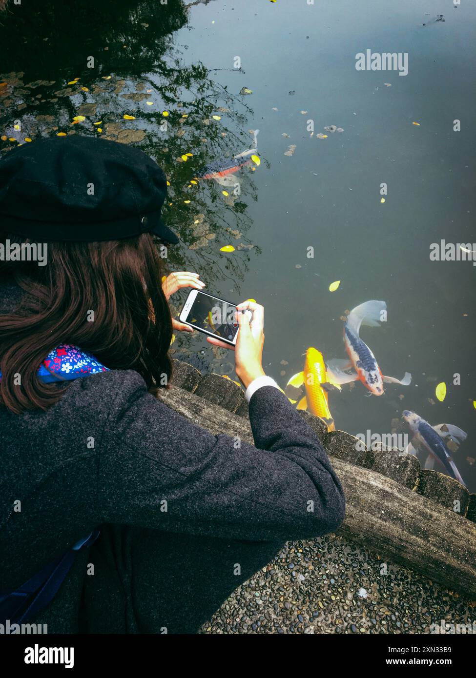 Woman taking pictures fish in hi-res stock photography and images - Alamy