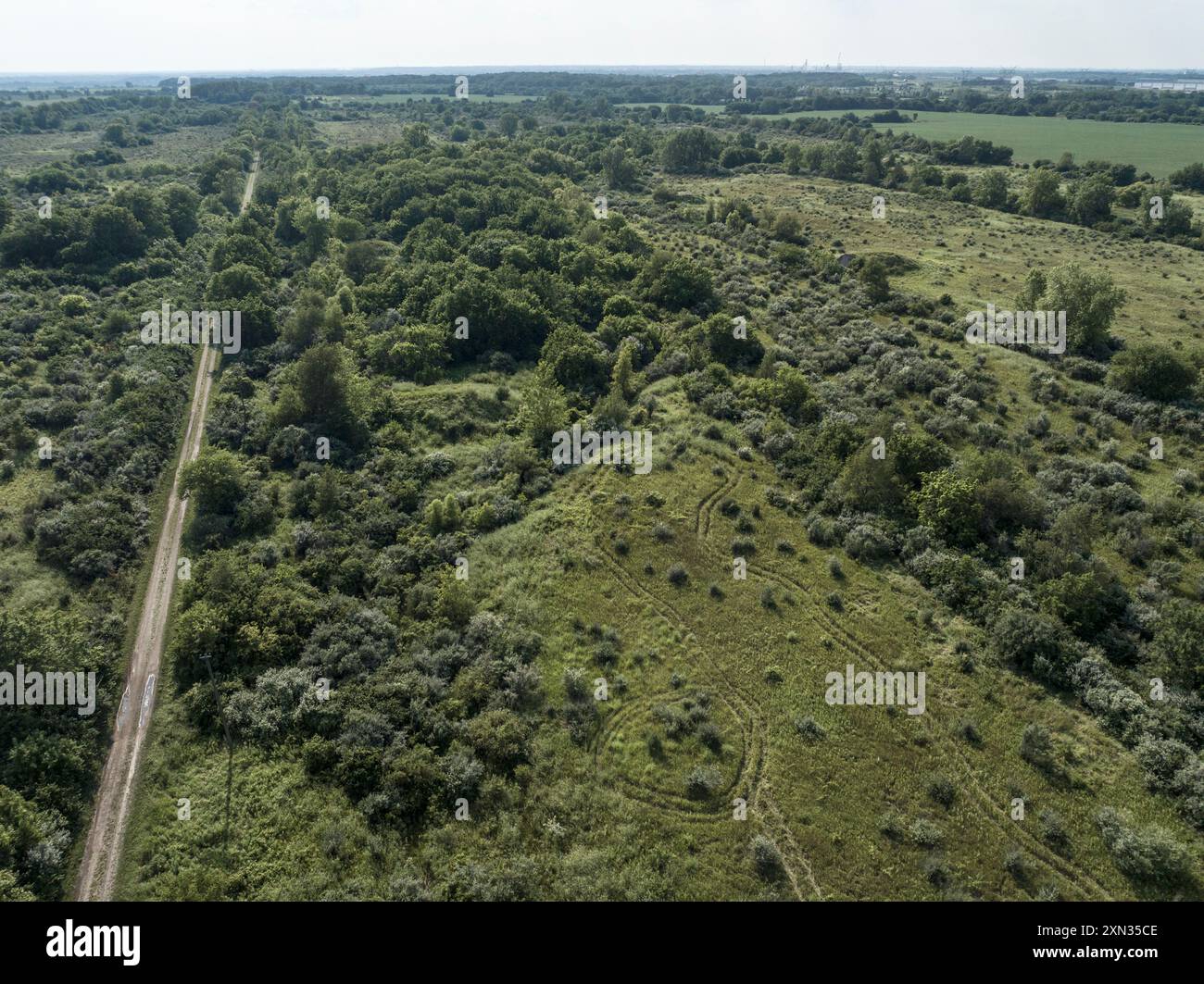 A road runs past WWII-era ammunition bunkers at Midewin National ...