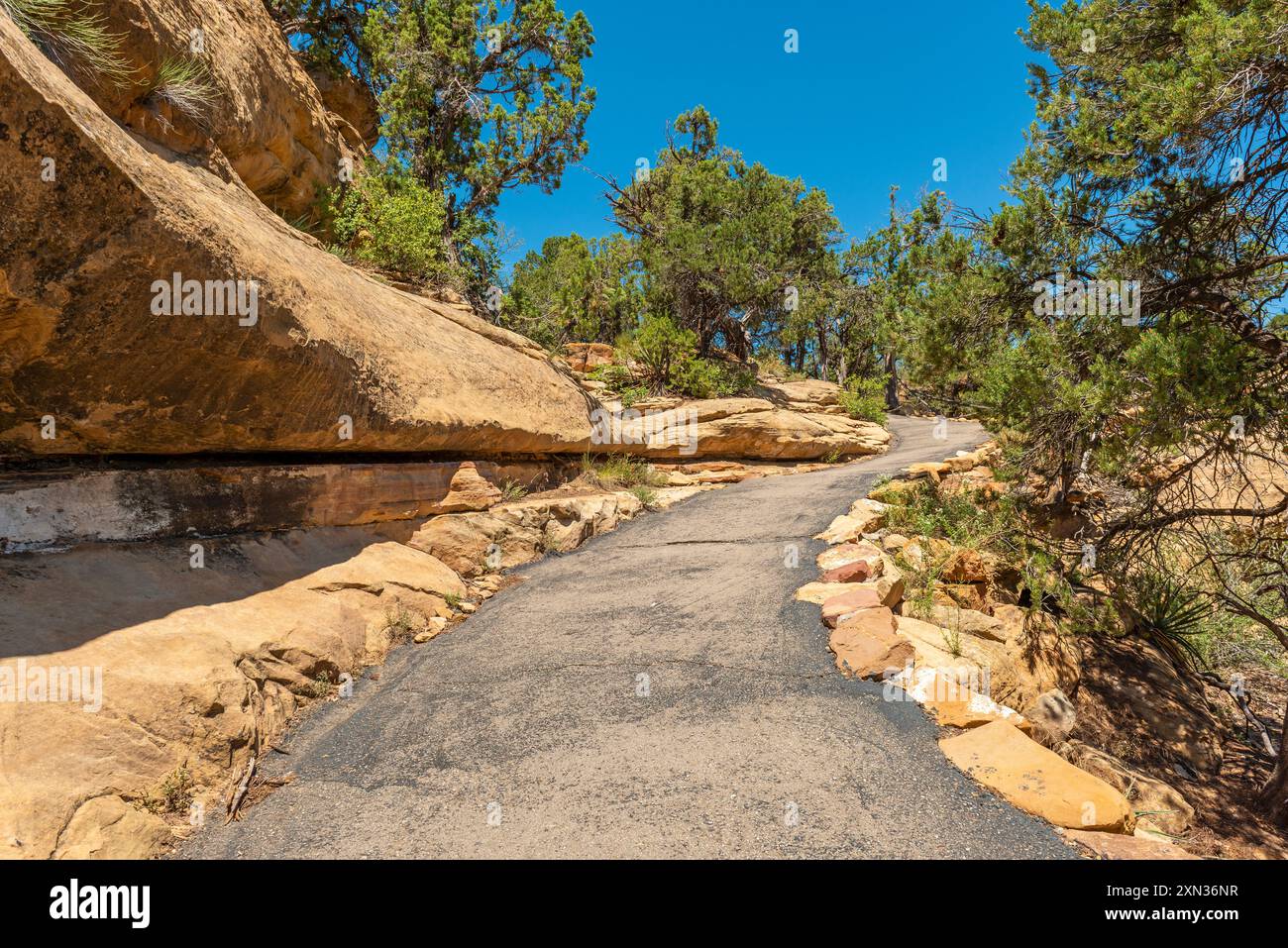 Hiking path in Mesa Verde national park, Colorado, USA Stock Photo - Alamy