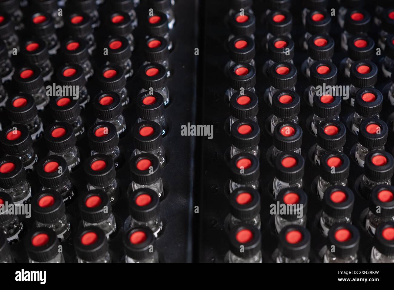 Top view of glass HPLC vials with black caps in autosampler Stock Photo ...