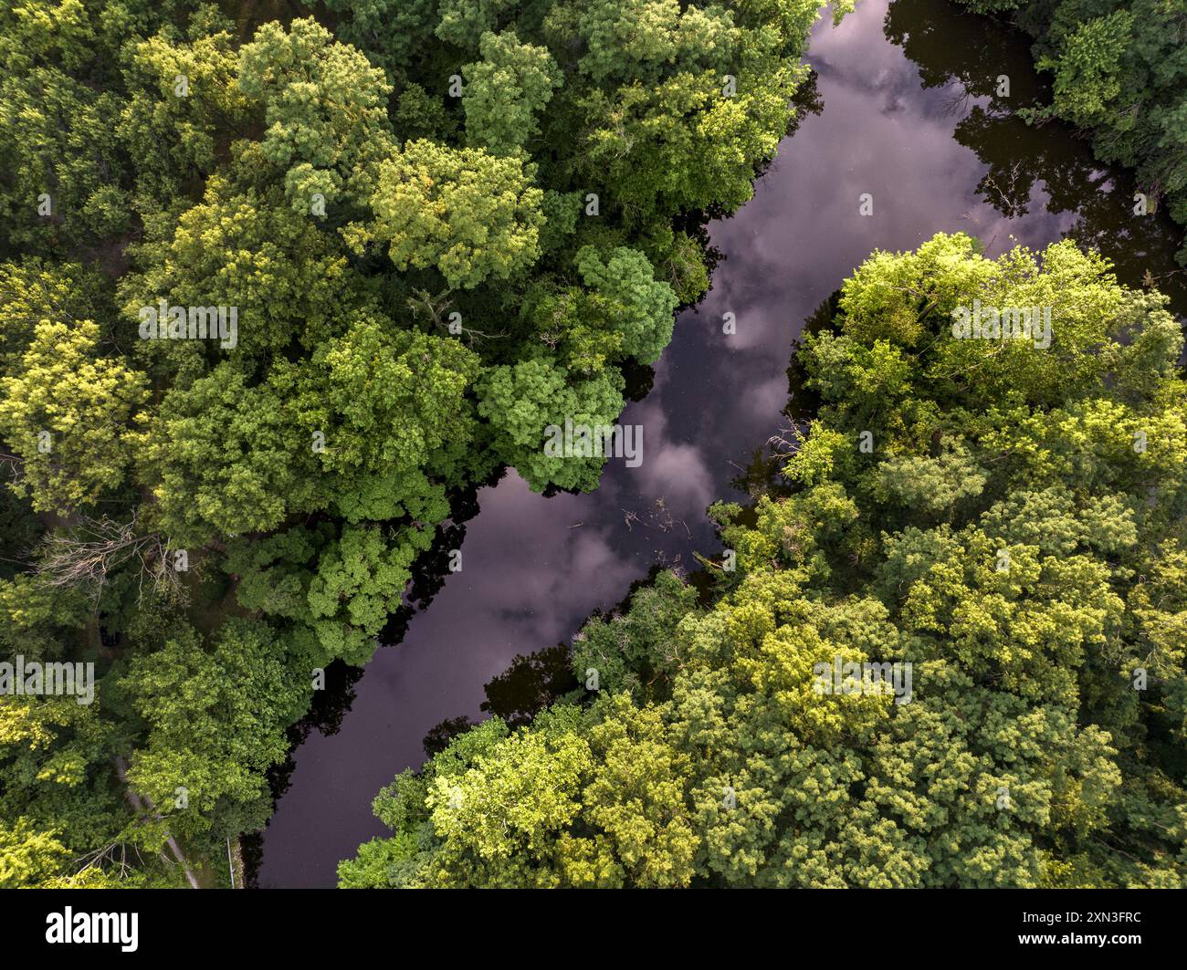 Trees lake from above aerial hi-res stock photography and images - Alamy