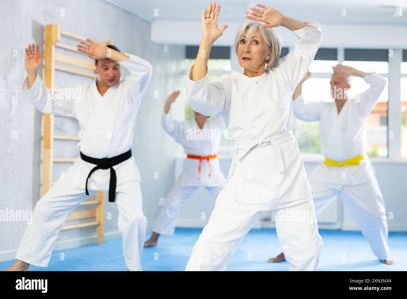 Senior students perform basic movements and repeat to hold pose ...