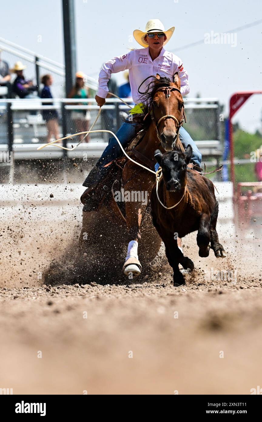 A cowgirl ropes a calf during the break-away roping event at Cheyenne ...