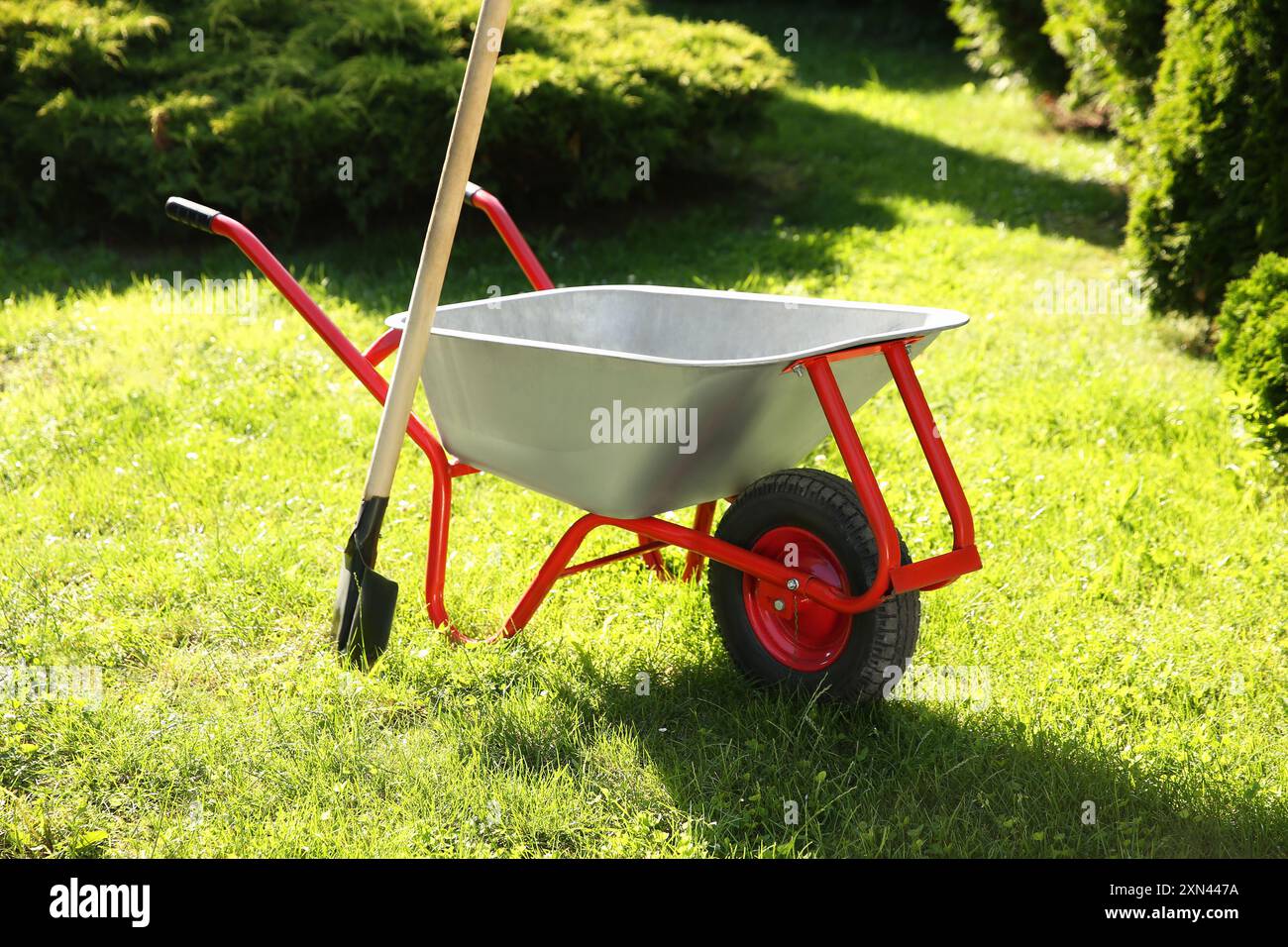 One wheelbarrow and shovel on green grass in garden Stock Photo - Alamy