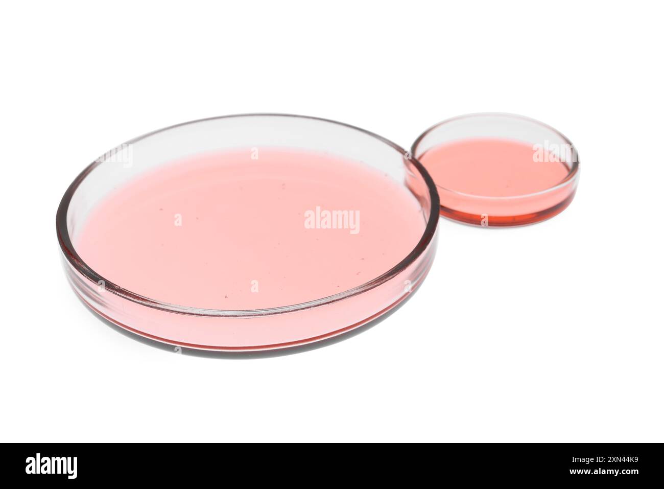 Petri dishes samples test hi-res stock photography and images - Alamy