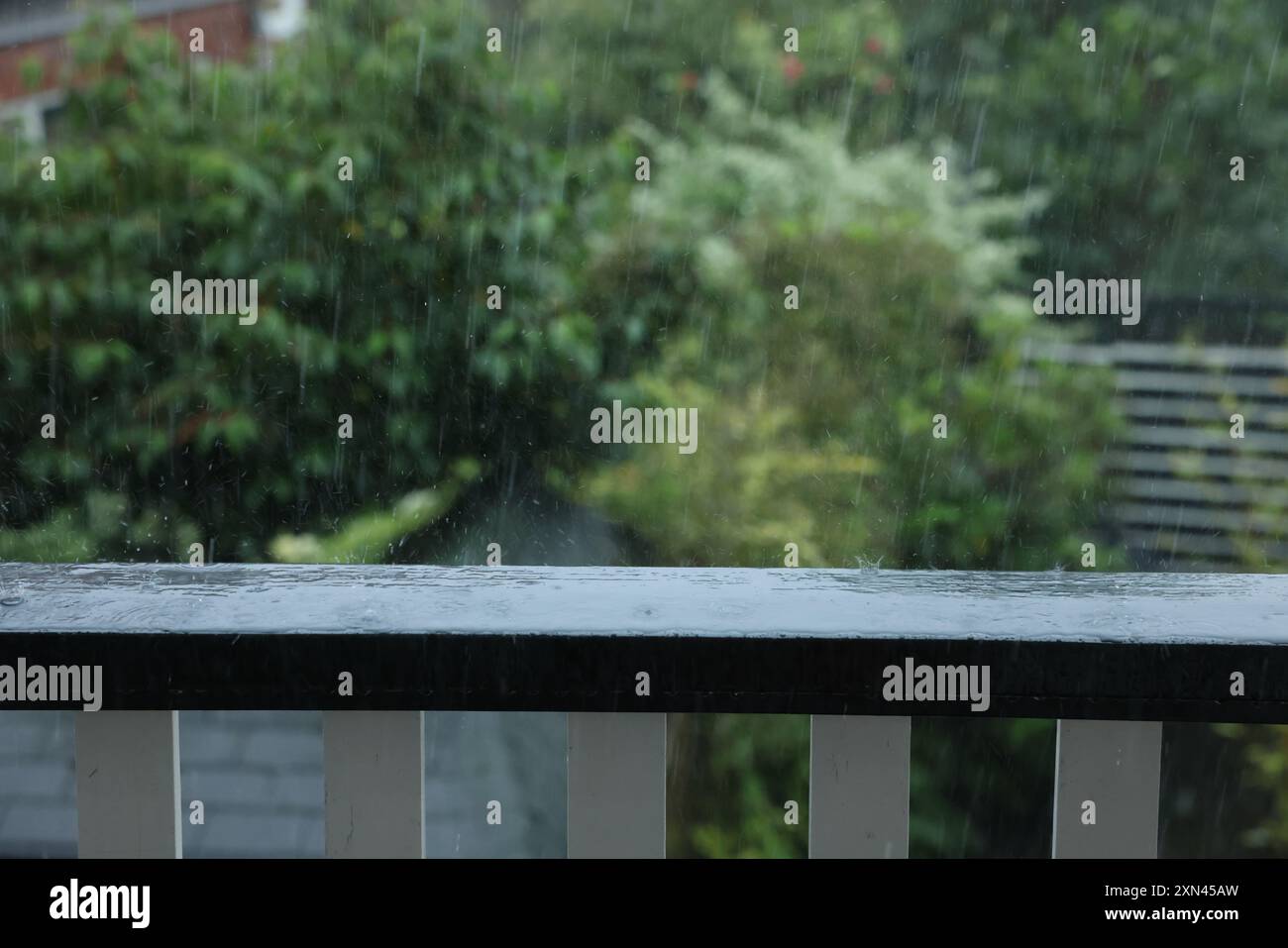 View on trees in backyard from balcony on rainy day Stock Photo - Alamy