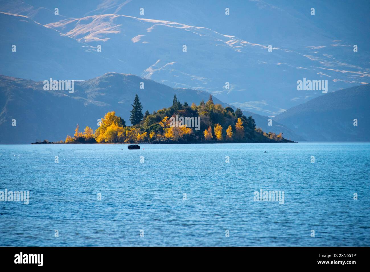 Ruby Island on Lake Wanaka - New Zealand Stock Photo - Alamy
