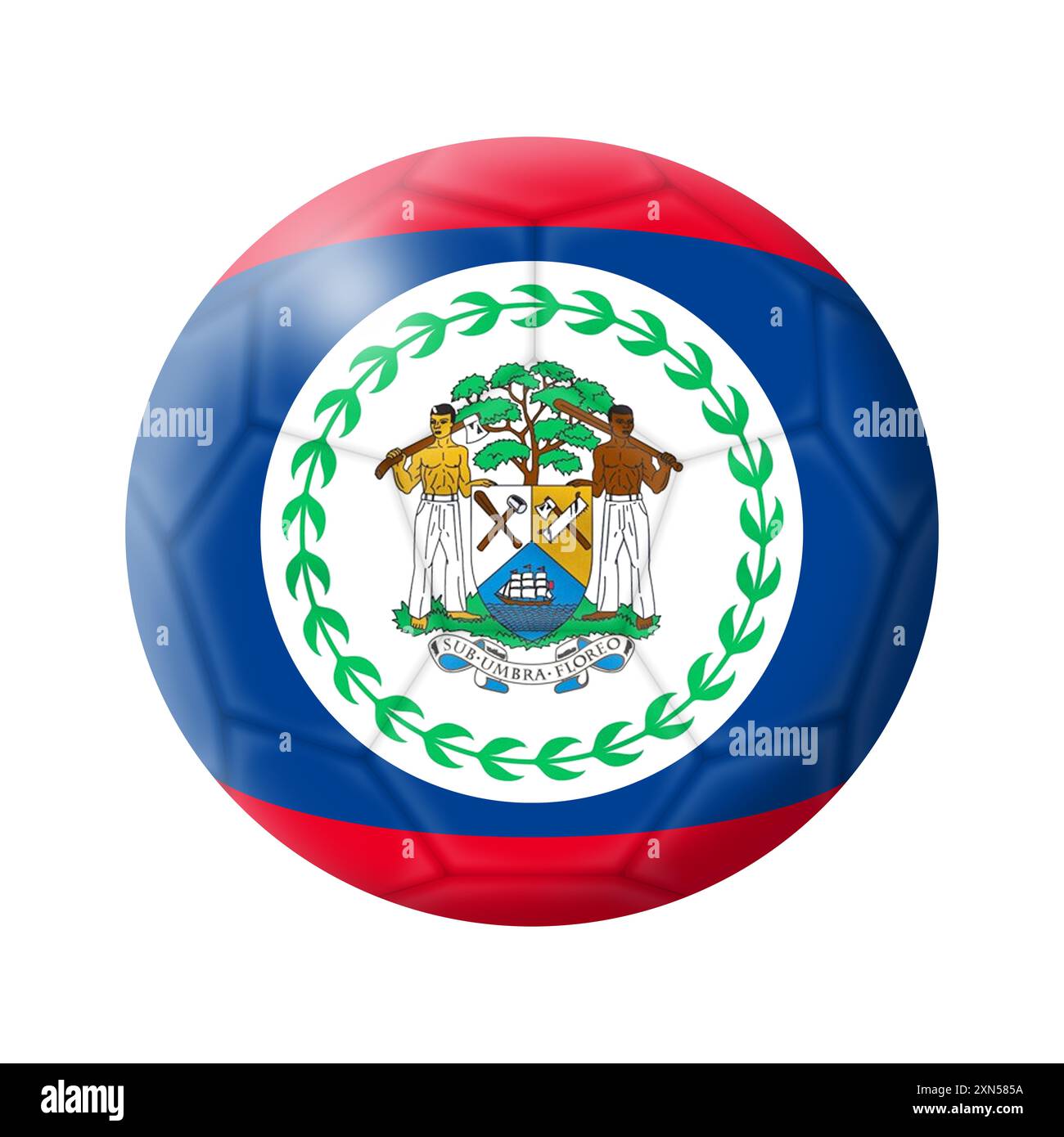 Football fans pitch Cut Out Stock Images & Pictures - Alamy