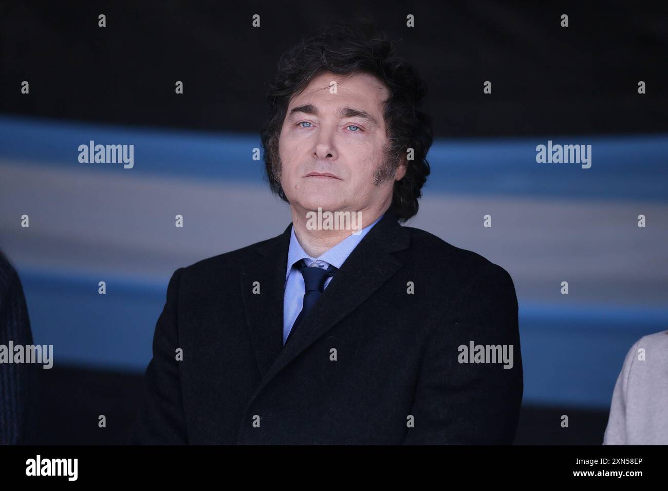 JAVIER MILEI PRESIDENT OF ARGENTINA Stock Photo - Alamy