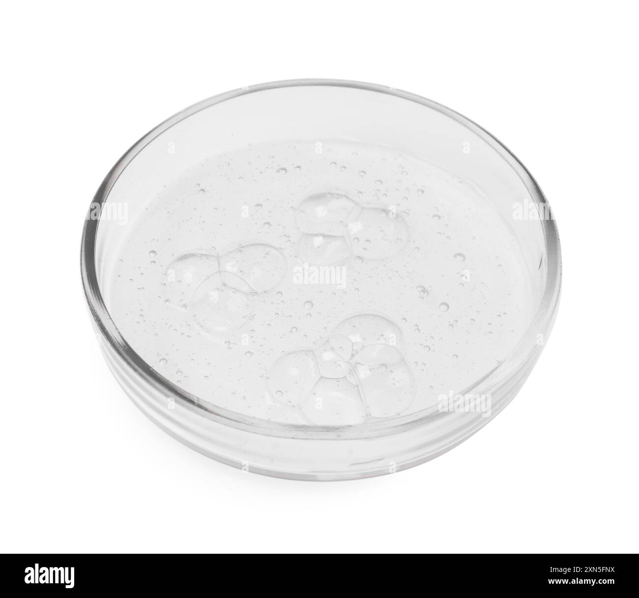 Petri dish with sample isolated on white Stock Photo - Alamy